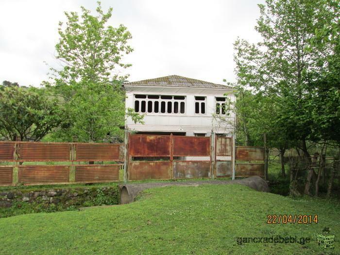 iyideba saxli guriaSi - guria - GEO1170748 gancxadeba - uZravi qonebis ...