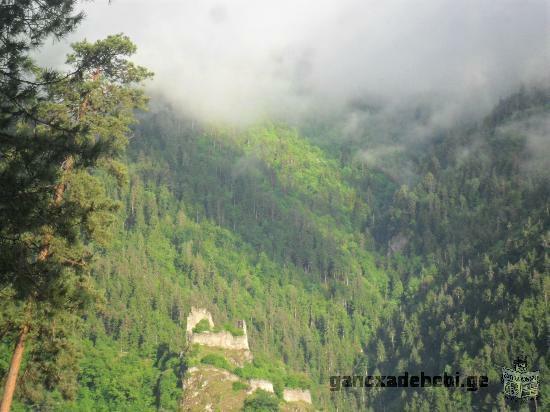 qiravdeba ulamazes borjomis xeobis (sof.likani)-s sacxovrebeli saxli ...