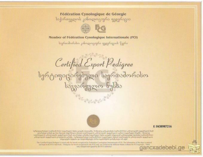 germanuli nagazis(avrCarka)saukeTeso lekvebi.sertific. saerTaSor ...